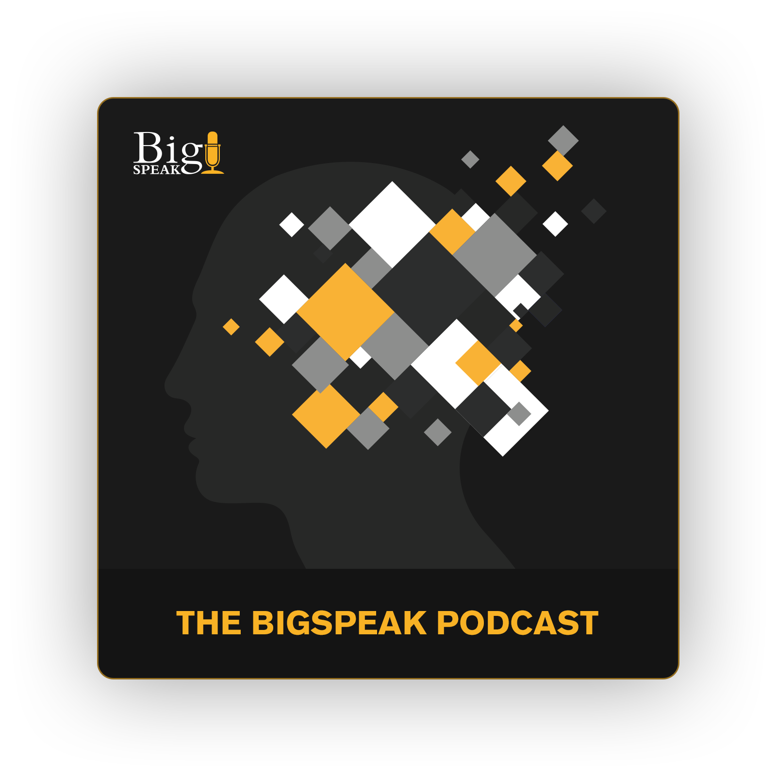 The BigSpeak Podcast - Guest Information - BigSpeak Motivational ...
