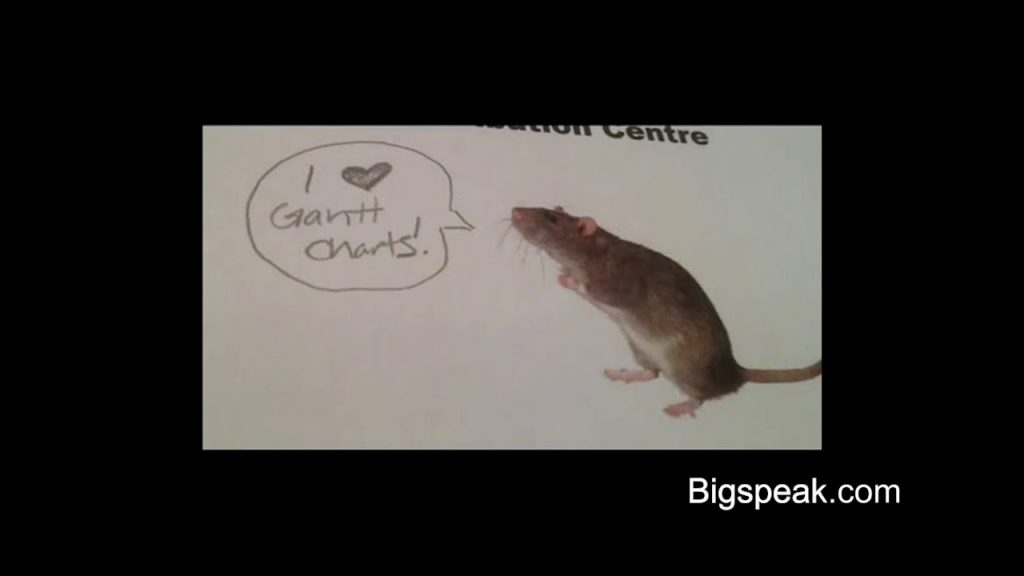 Chris Croft, Project Management in Under 8 Minutes - BigSpeak ...